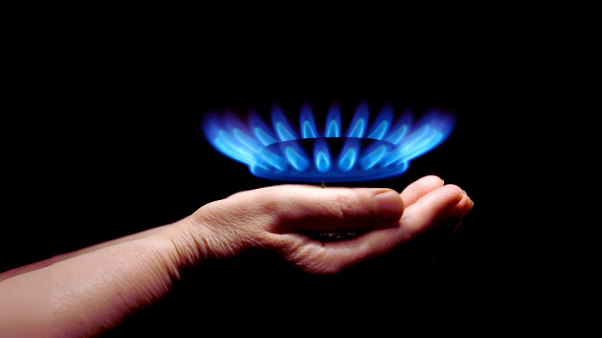 Konsolidace webů a portálů společnosti GasNet | ARICOMA